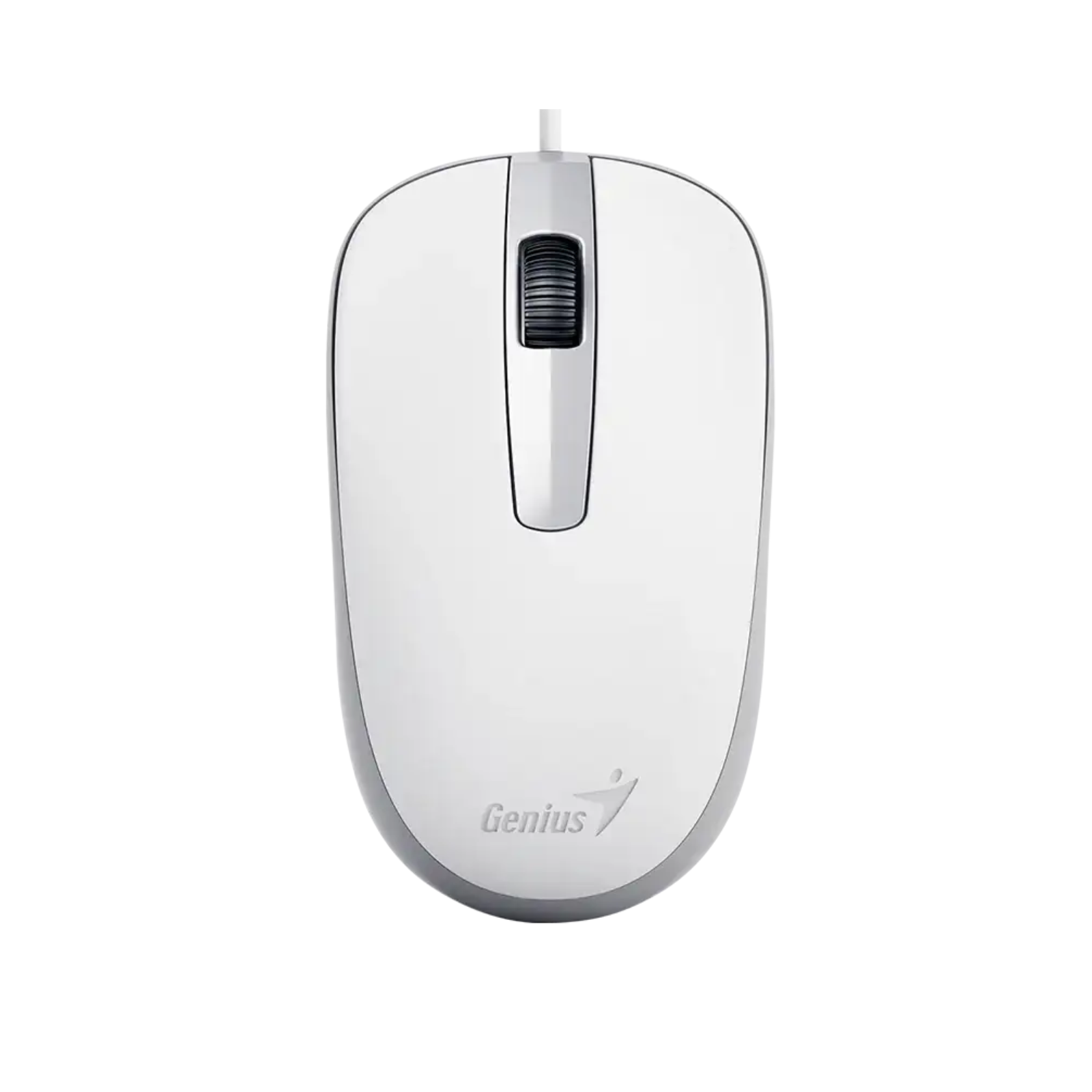 MOUSE GENIUS DX-120 GREEN WIRED 1000DP WHITE - watanimall